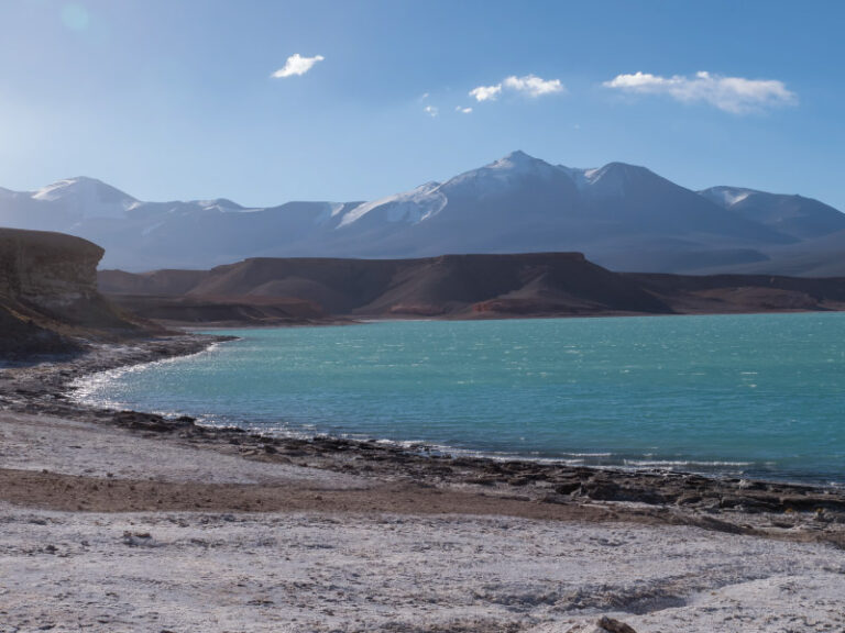 Catamarca - Equus Argentina
